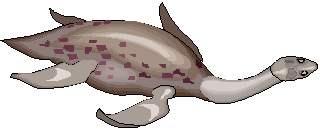 Plesiosaur Pictures