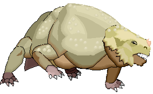 Scutosaurus Pictures