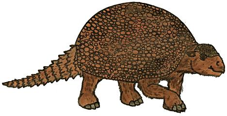 Glyptodont Pictures