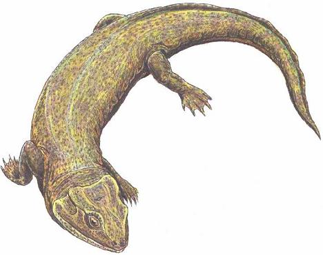 Procolophonids Facts - information about the extinct, prehistoric ...