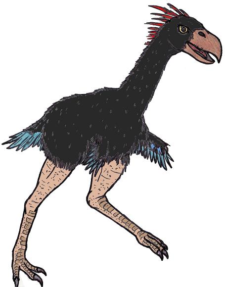 Phorusrhacid Pictures